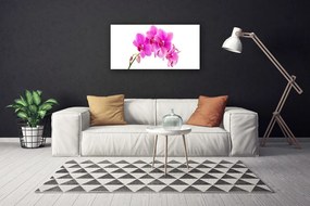 Obraz na plátně Vstavač Květ Orchidej 140x70 cm