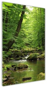 Wallmuralia Vertikální Foto obraz sklo tvrzené Řeka v lese 50x100