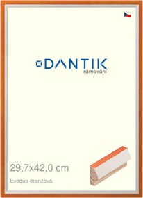 DANTIK rámeček 29,7x42 | EVOQUE oranžová (Plexi Čiré)