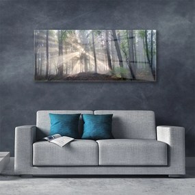 akrylový obraz Les Příroda 125x50 cm