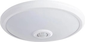 Stropní světlo led stropní svítidlo se senzorem led/14w/230v