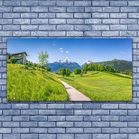 Plexisklo-obraz Hory Louka Stezka Údolí 120x60 cm
