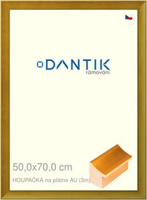 DANTIK rámeček 50x70 | HOUPAČKA na plátno AU (Plexi Čiré)