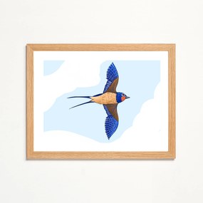 Kristýna Pýchová | Vlaštovka Rám: Bílý, Velikost: 30 x 40 cm