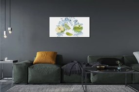 Obrazy na plátně Voda jablko nakrájený 100x50 cm