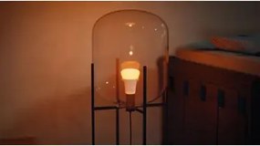 Philips Hue WCA 810 / Chytrá žárovka / A60 E27 / 8,1 W / 1100 lm / RGB