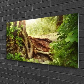 Obraz na skle Strom Kmen Příroda Les 100x50 cm