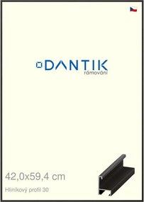 DANTIK rámeček 42x59,4 | ALU profil 6030 Dýha černá (Plexi Čiré)