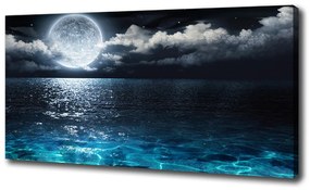 Wallmuralia Foto obraz canvas Měsíc v úplňku 100x50