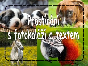 PokojovaDekorace.cz, Prostírání s fotokoláží a textem, 43x30cm