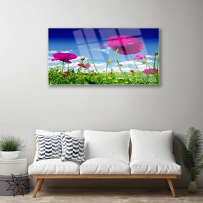 Obraz na skle Louka Květiny Nebe Příroda 140x70 cm