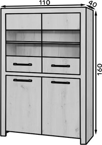 ADRK Furniture Nízká vitrína JANEZ ADRK-SHC-JAN-110-A