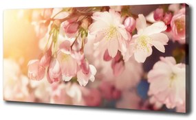 Wallmuralia Foto obraz na plátně do obýváku Květy višně 100x50