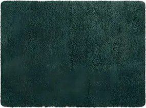 MSV MICROFIBER tmavě zelená / Koupelnová předložka / 50 x 70 cm / mikr