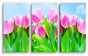 Sablio Obraz - 3-dílný Růžové tulipány - 120x80 cm