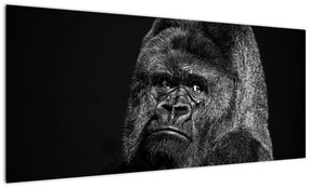 Obraz opice (100x40cm)