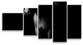 Sablio Obraz - 5-dílný Kůň ve stínu - 100x60 cm