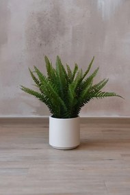 Umělá kapradina v květináči IRATZEA, plast, výška 55 cm, zelená
