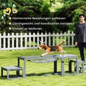 Agility set pro psy 3dílná sada agility vybavení s mostem, schůdky, plošinou, jedlové dřevo, 117 x 50 x 56 cm, šedá barva