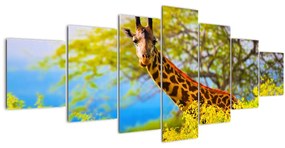 Obraz žirafy v Africe (210x100 cm)