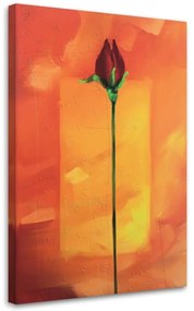 Obraz na plátně Červená růže Květina Příroda - 80x120 cm