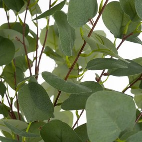 Umělá květina Eucalyptus – Casa Selección