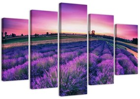 Obraz na plátně pětidílný Levandulově fialové pole - 100x70 cm