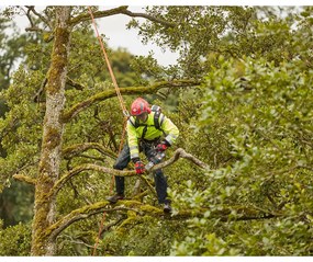 Akumulátorová řetězová pila CRAMER 82TCS15 (Dodáváno bez baterie a nabíječky)