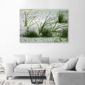 Gario Obraz na plátně Zelená tráva na pláži Rozměry: 60 x 40 cm