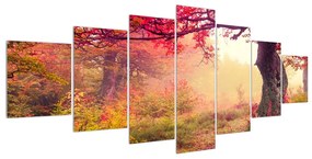 Obraz podzimní lesní krajiny (210x100 cm)