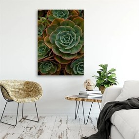 Gario Obraz na plátně Zelená sukulentní květina Rozměry: 40 x 60 cm