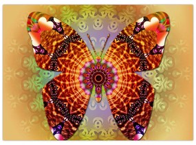 Obraz - Etno motýl (70x50 cm)