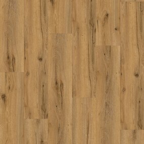 Decoflooring Vinylová podlaha SPC+KORK, dub Forset, 229 x 1220 x 6,0+1,0 cm