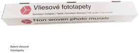 MP-2-0226 Vliesová obrazová panoramatická fototapeta Ladybird, velikost 375 x 150 cm