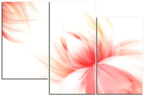 Obraz na plátně - Elegantní květ 1147C (105x70 cm)