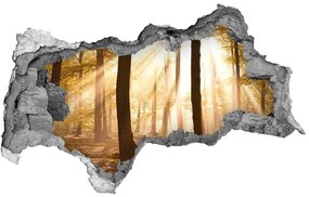 Wallmuralia Díra 3D ve zdi nálepka Podzim les 95x73 cm