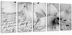 5-dílný obraz lilie na starém dokumentu v černobílém provedení