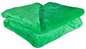 Jahu MyHouse Deka mikroplyš 150 x 200 cm Barva: zelená