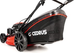 Hahn & Sohn Cedrus Benzínová sekačka s pojezdem KS53SV-E HP16792