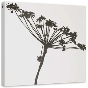 Obraz na plátně Rostlina Černá a bílá - 50x50 cm