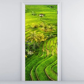 Fototapeta na dveře - Rýžové terasy (95x205cm)