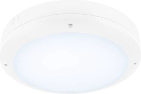 LA 1008901 OUTDOOR BULKHEAD V 360 SENSOR 20W 830/840/856 IP65 IK10, bílý - BIG WHITE (SLV)