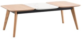 Konferenční stolek alvin 120 x 60 cm přírodní MUZZA