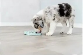 TRIXIE 34954 JUNIOR lízací talířek na pamlsky/paštiky 15 cm