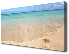 Obraz na plátně Pláž Hvězdice Krajina 120x60 cm