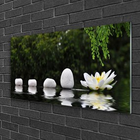 Obraz na skle Kameny Květ Umění 140x70 cm