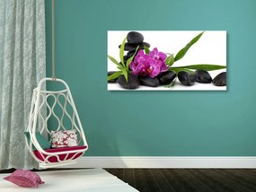 Obraz fialová orchidej v Zen zátiší Varianta: 100x50