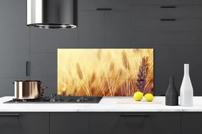 Skleněné obklady do kuchyně Pšenice Rostlina Příroda 120x60 cm