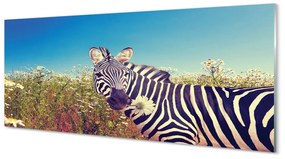 akrylový obraz zebra květiny 120x60 cm