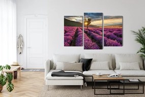 Vícedílný obraz Levandulové Pole Při Západu Slunce 3D Nedostatek Nedostatek Plátno Canvas 120x80